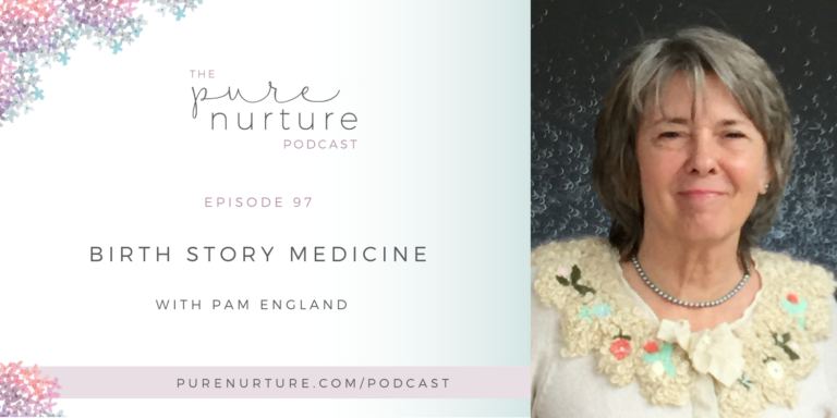 097: Birth Story Medicine with Pam England | Pure Nurture